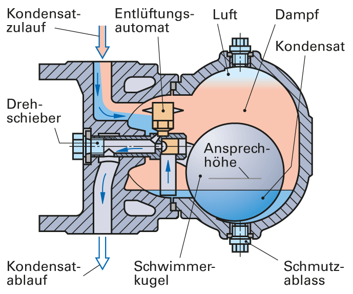 Lernkartei - PAT | MemoCard